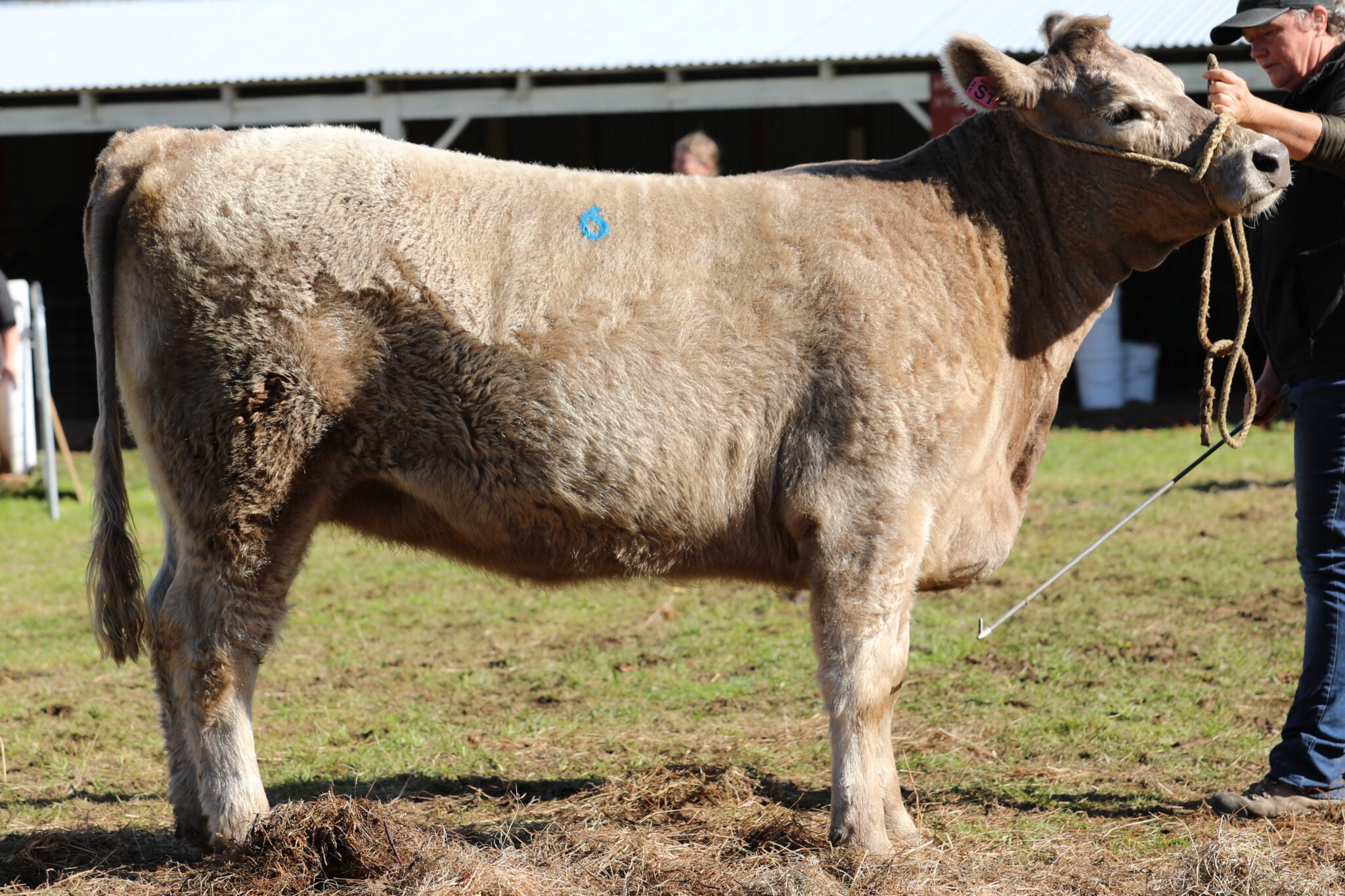 2023 Photos • Future Beef NZ